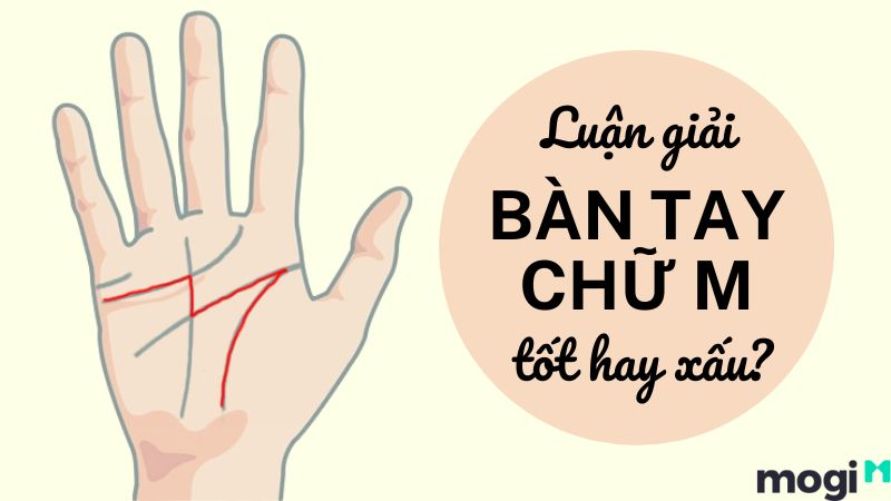 Bàn Tay Chữ M Là Gì? Vận Mệnh Người Có Bàn Tay Chữ M